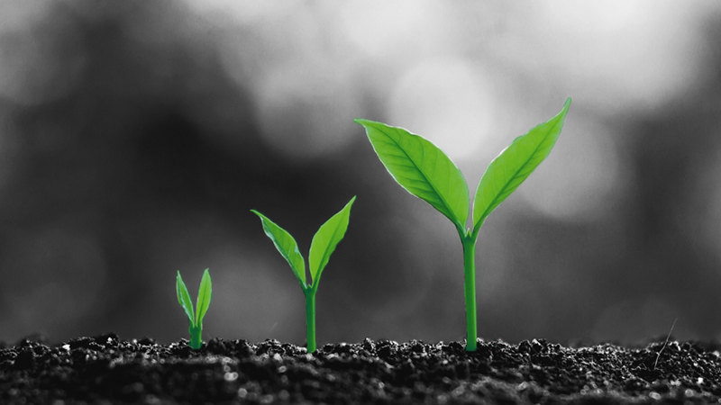 Please pray for our church plants and sending churches - Lutheran ...